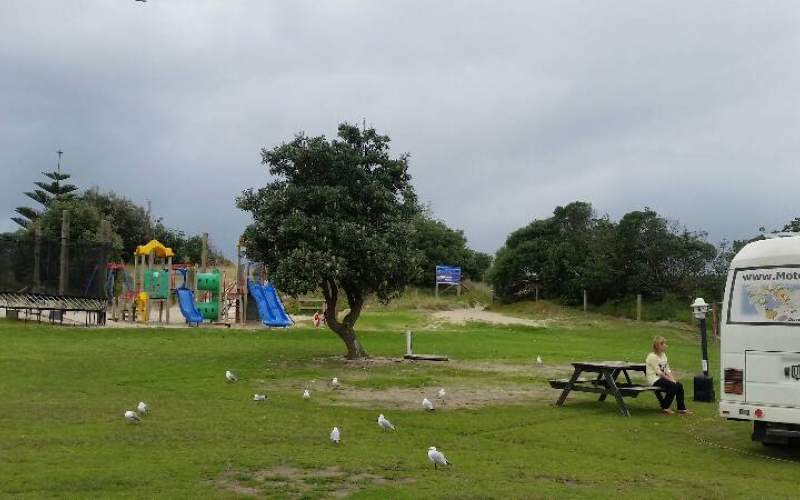 Camp Waipu Cove | Full Service Camp | New Zealand